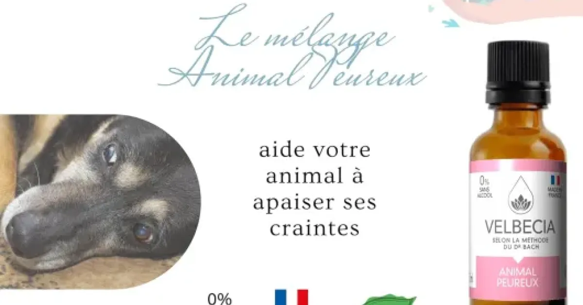 Test Velbecia Animal peureux : un coup de pouce pour animaux flippés ...